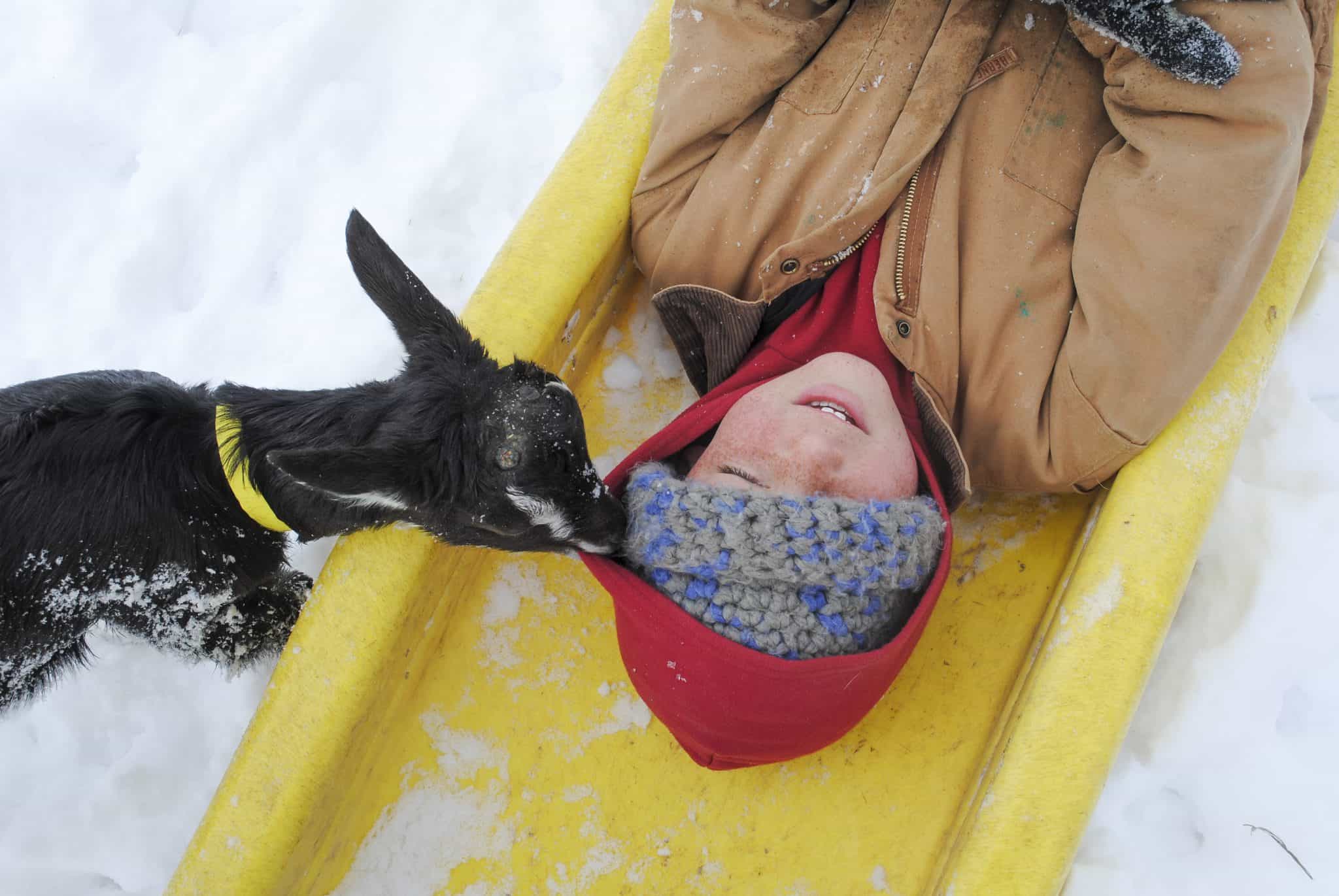 Goat Milk Stuff - Travel Indiana
