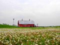 Indiana's Dairy Farms - Travel Indiana