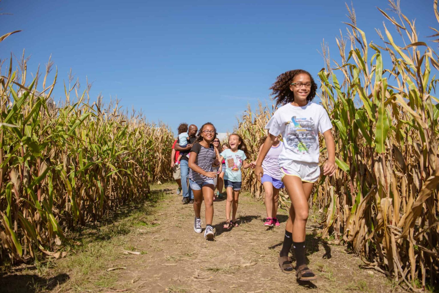 Indiana's Dairy Farms - Travel Indiana