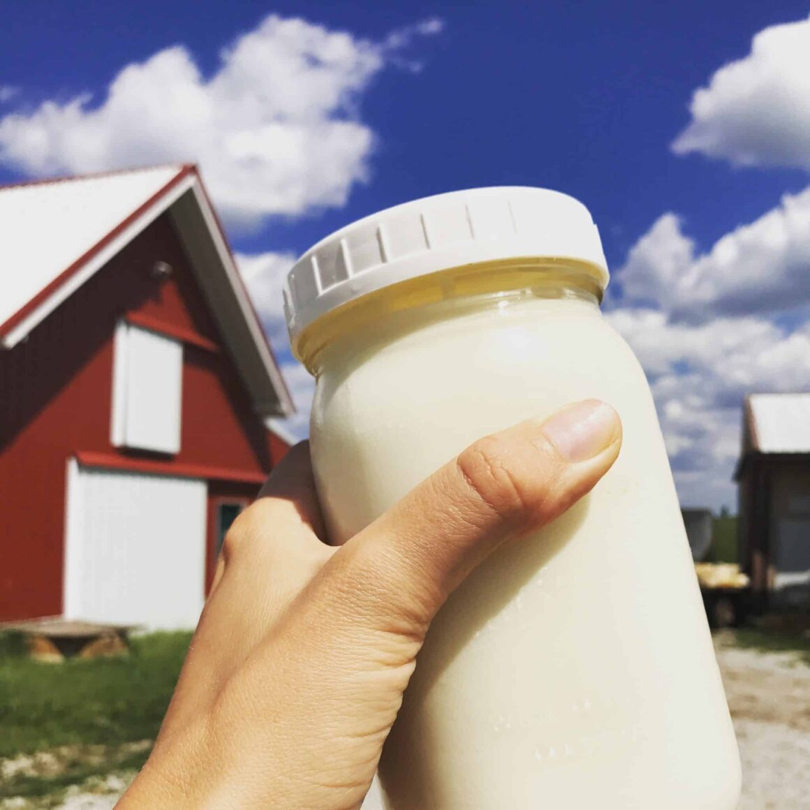 Indiana's Dairy Farms - Travel Indiana