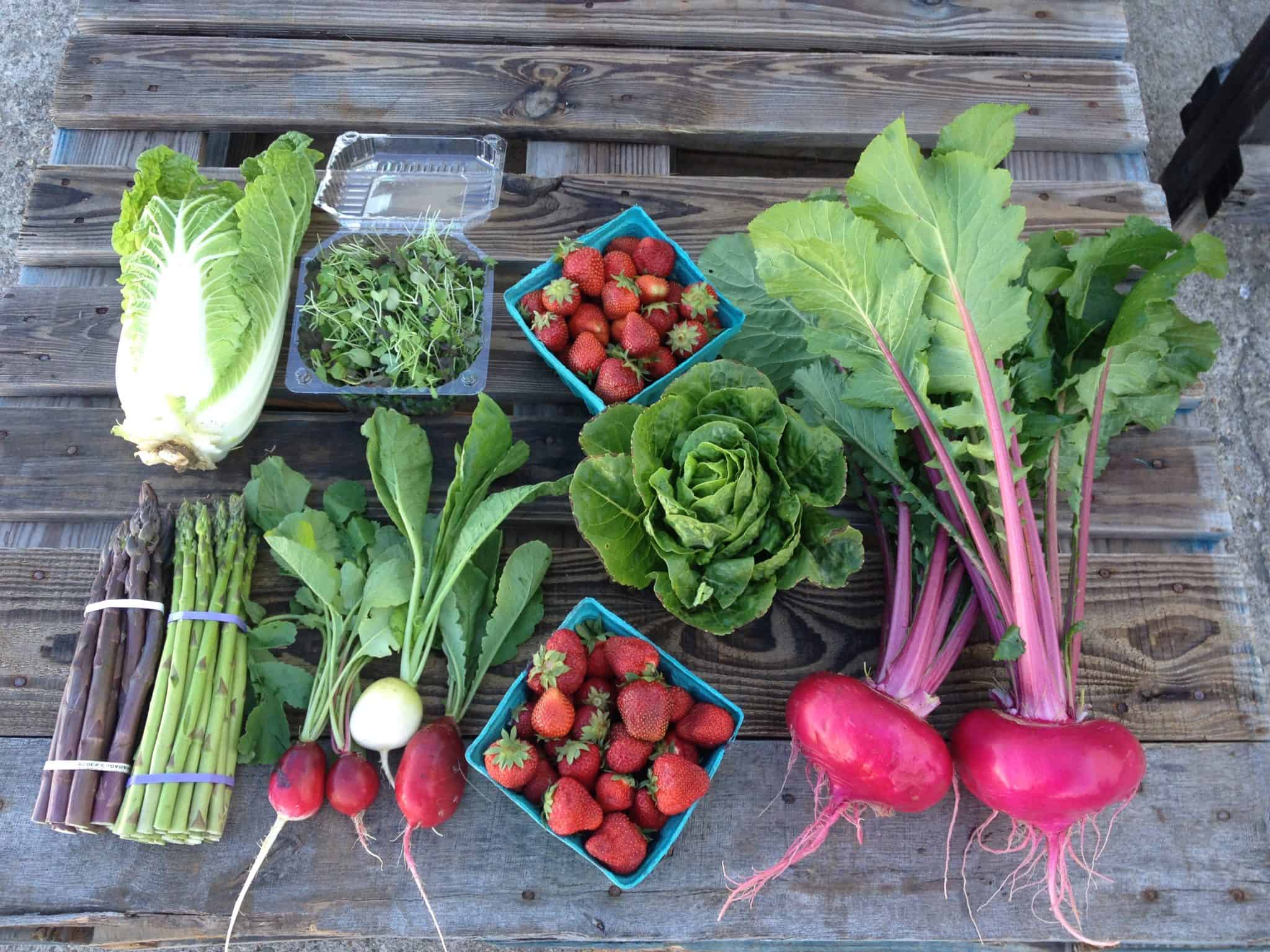 Indiana's Dairy Farms - Travel Indiana