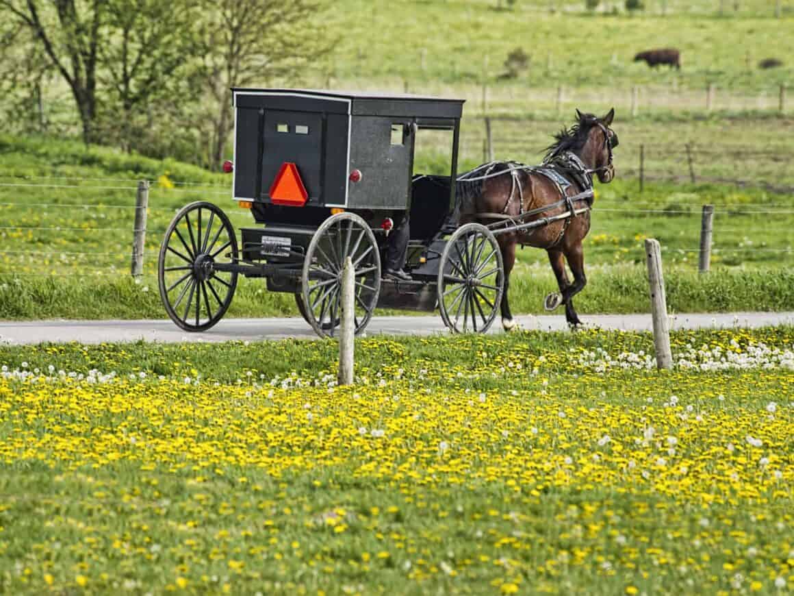 The Art of Living in Chesterton - Travel Indiana