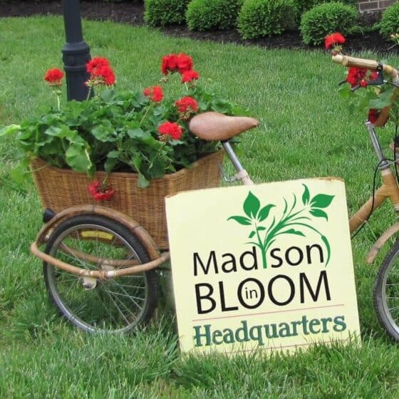 Madison in Bloom - Travel Indiana