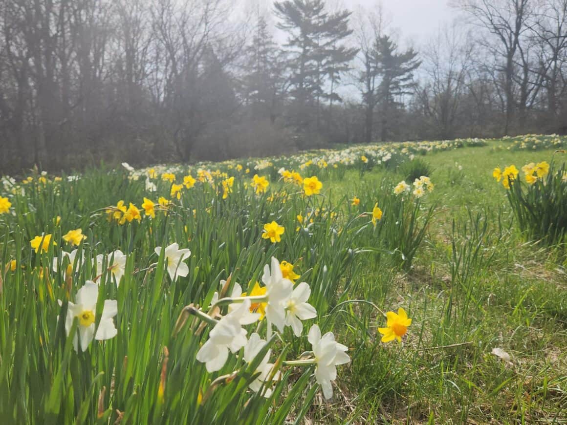 Top Hiking & Walking Areas in Lafayette-West Lafayette - Travel Indiana