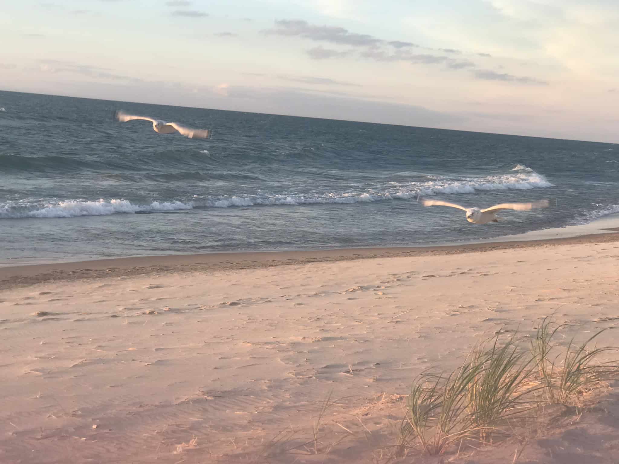 Discover Michigan City - Travel Indiana