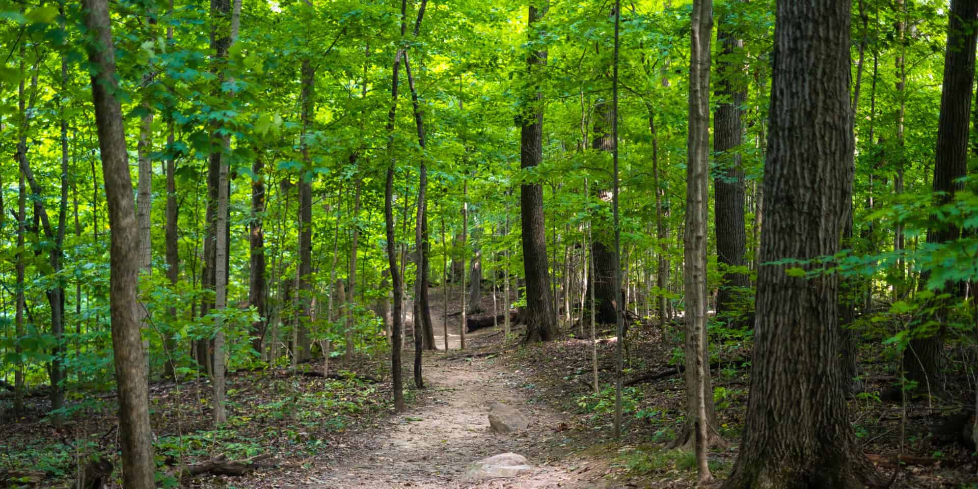 Discover the Outdoor Opportunities in Boone County - Travel Indiana