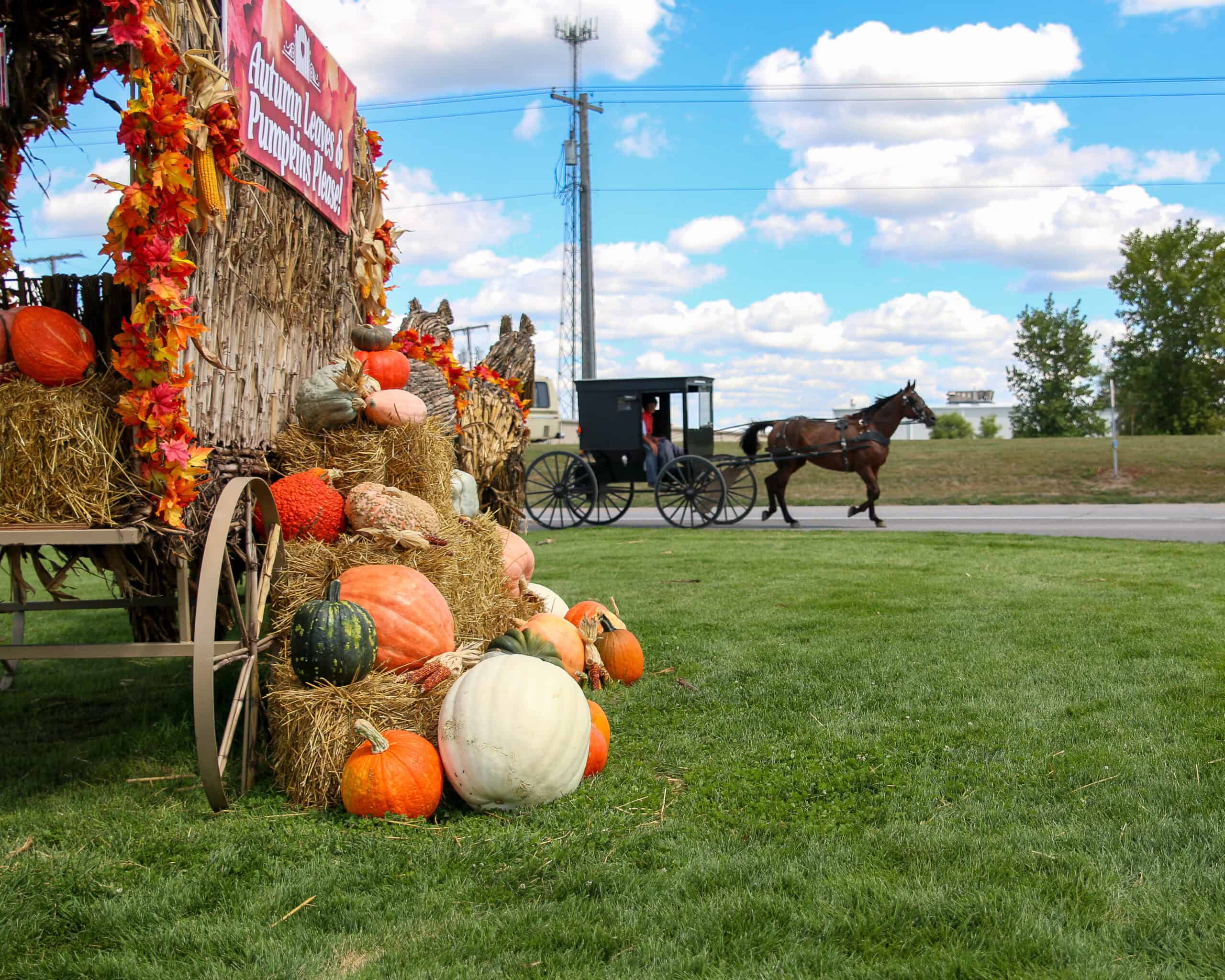 Fall merrymaking in the Heart of Amish Country - Travel Indiana