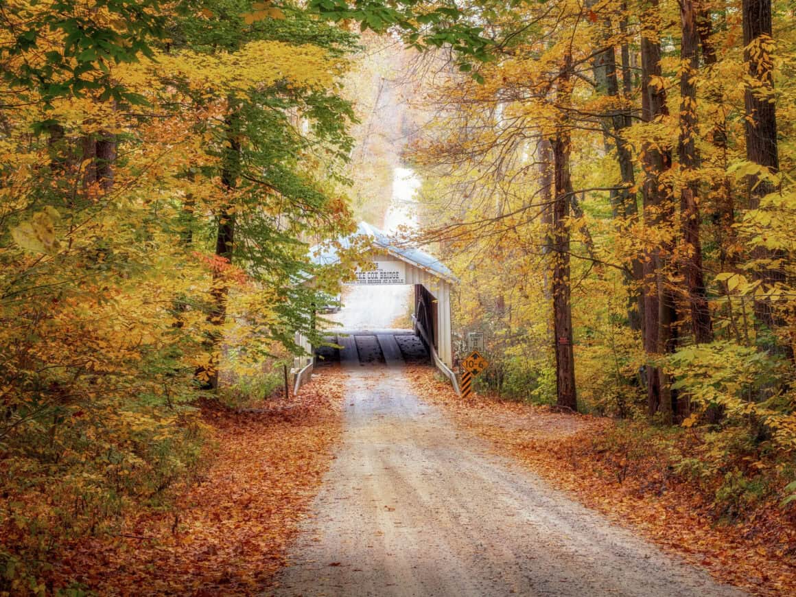 Guided Horseback Rides at Turkey Run State Park - Travel Indiana