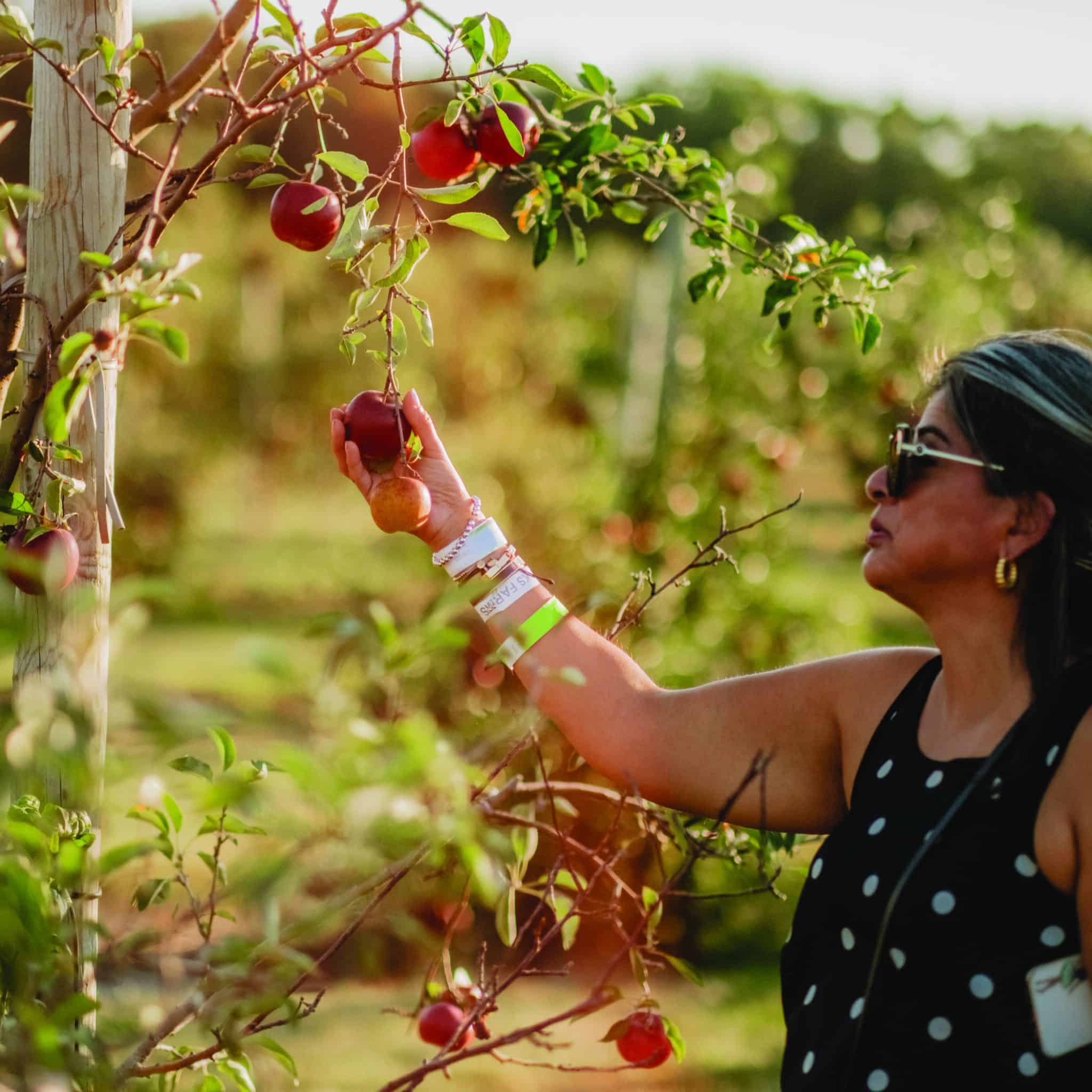 Fair Oaks Farms Staycation Itinerary - Travel Indiana