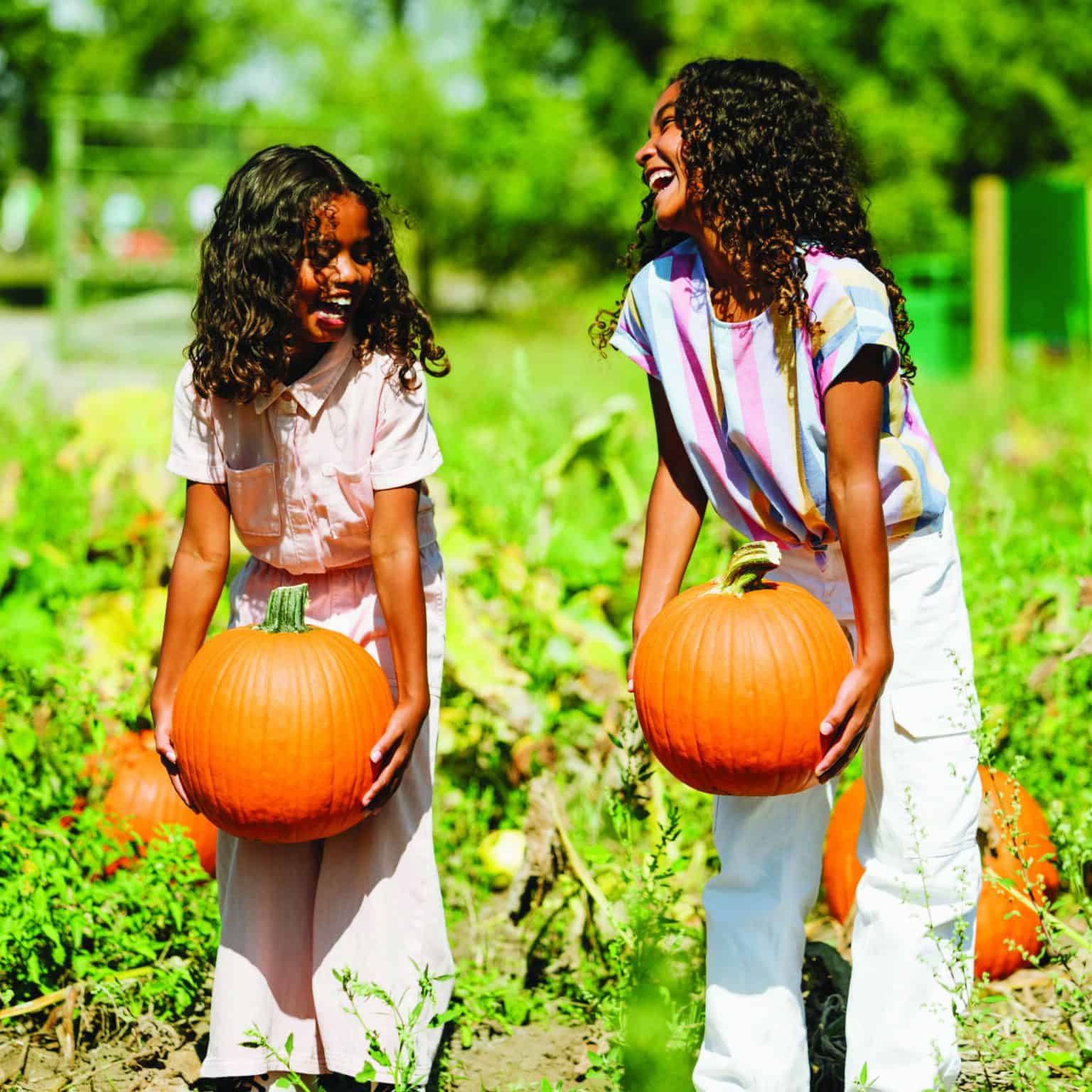 Fair Oaks Farms Staycation Itinerary - Travel Indiana