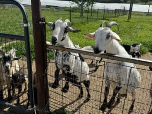 Explore Small-Town Charm in Brookston Indiana - Travel Indiana