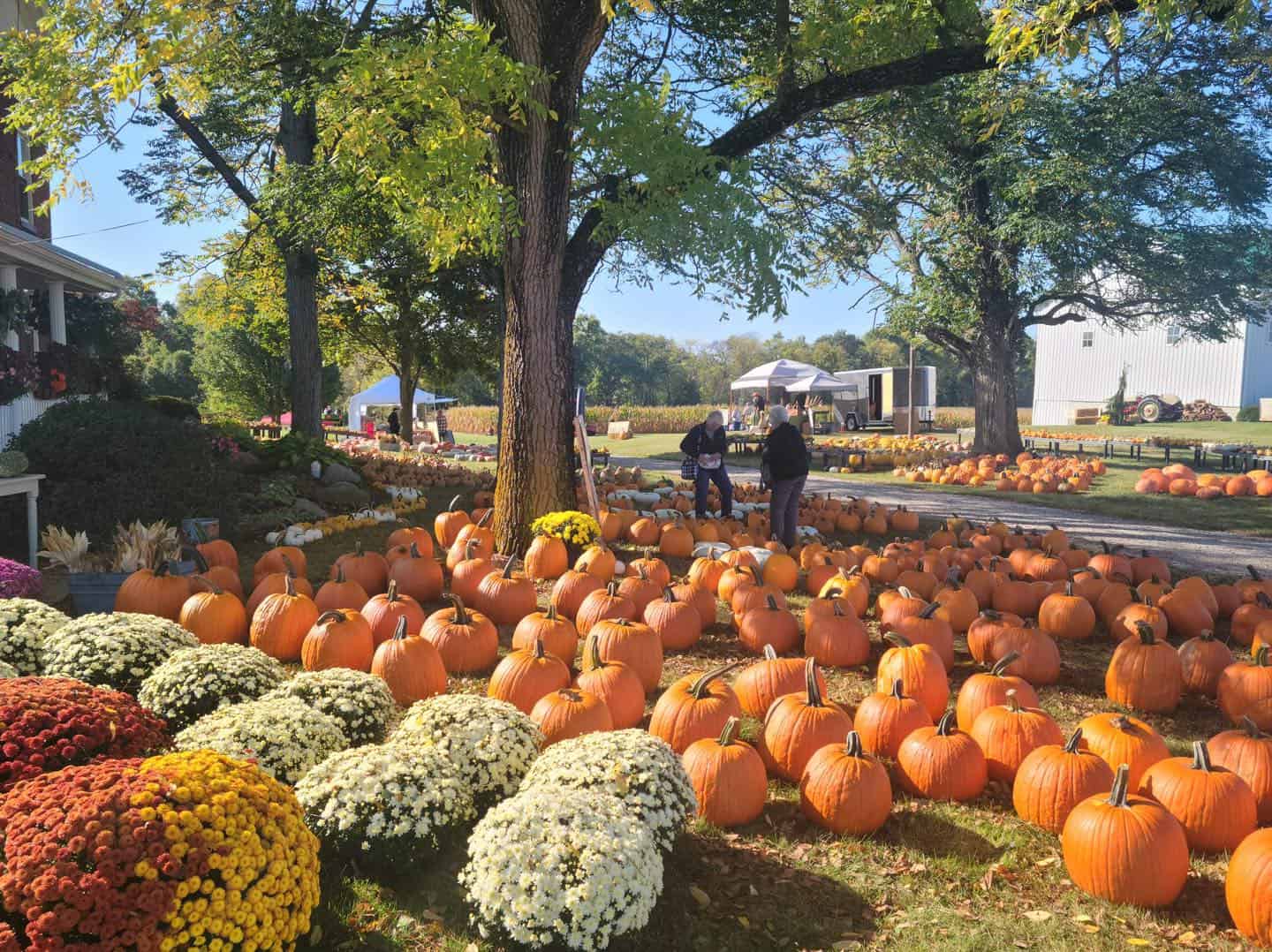 The Parke County Covered Bridge Festival - Travel Indiana