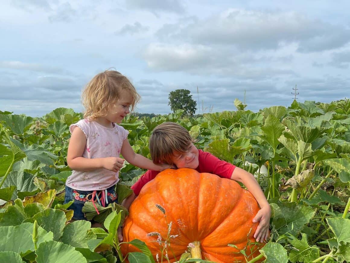 The Ultimate Fall Experience at Lark Ranch - Travel Indiana
