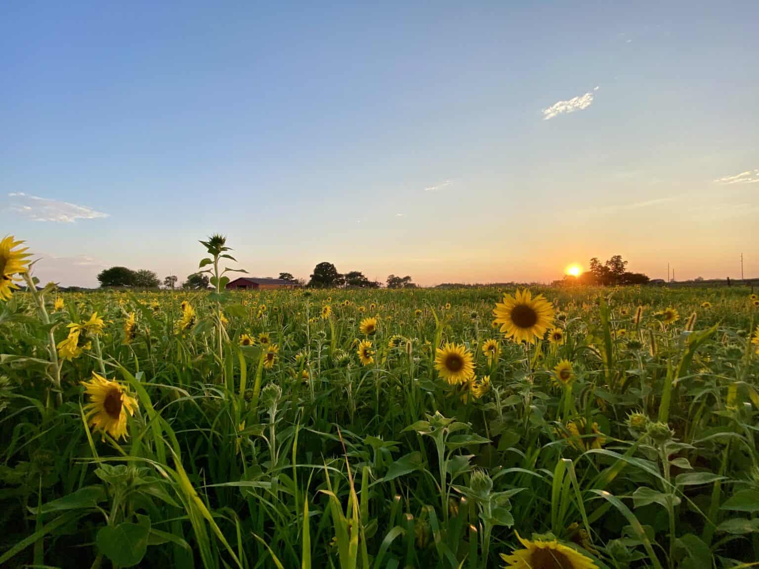 Explore Small-Town Charm in Brookston Indiana - Travel Indiana