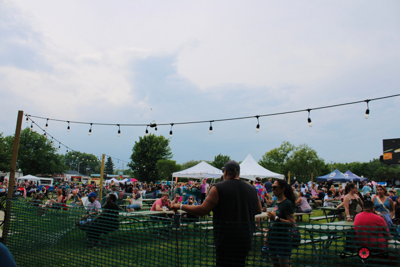 Hobart's 35th Lakefront Festival - Travel Indiana